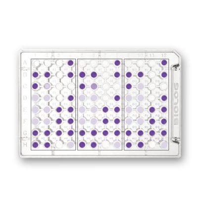 EcoPlates for Microbial Community Analysis - TECHNOPATH