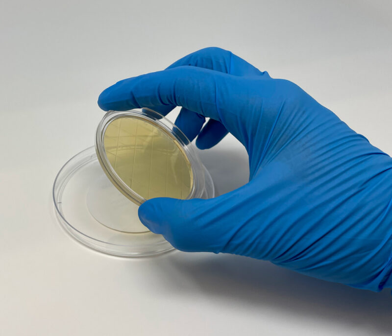 Enverify™ Surface Sampling Competency Kit - TECHNOPATH